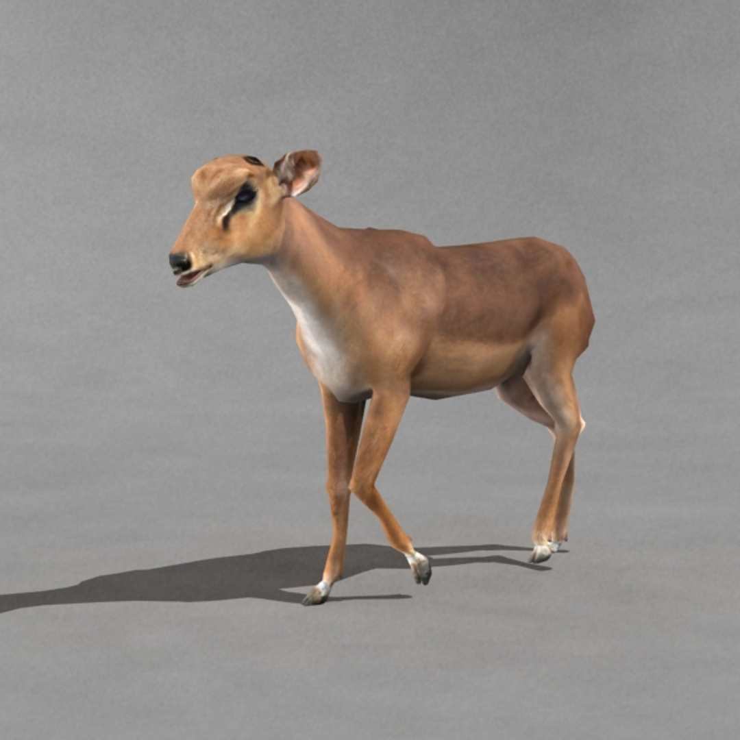 Antelope Rigged Animations 3d Max