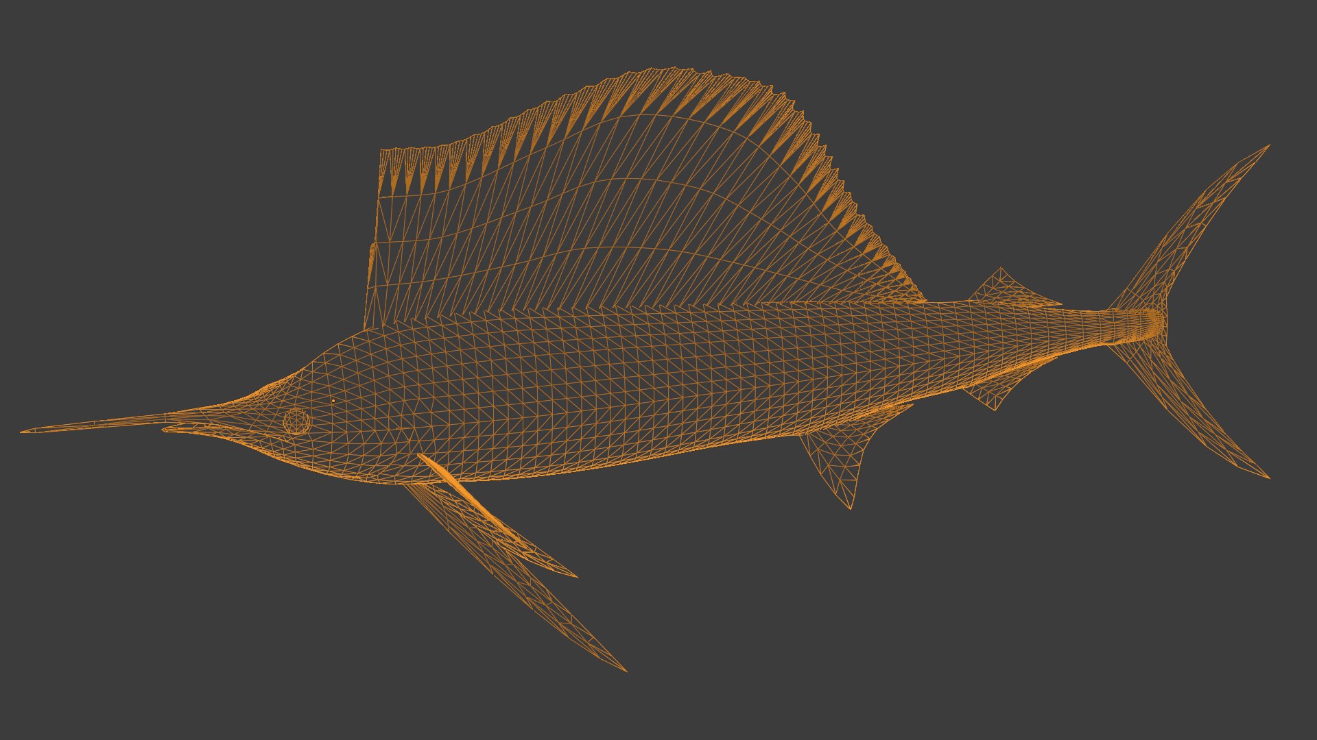 3d Indo-pacific Sailfish Model