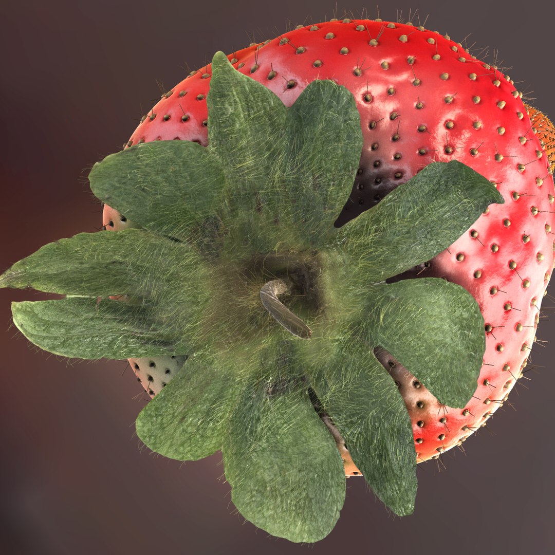 3ds Max Strawberry Fruit Leaf