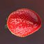 3ds Max Strawberry Fruit Leaf