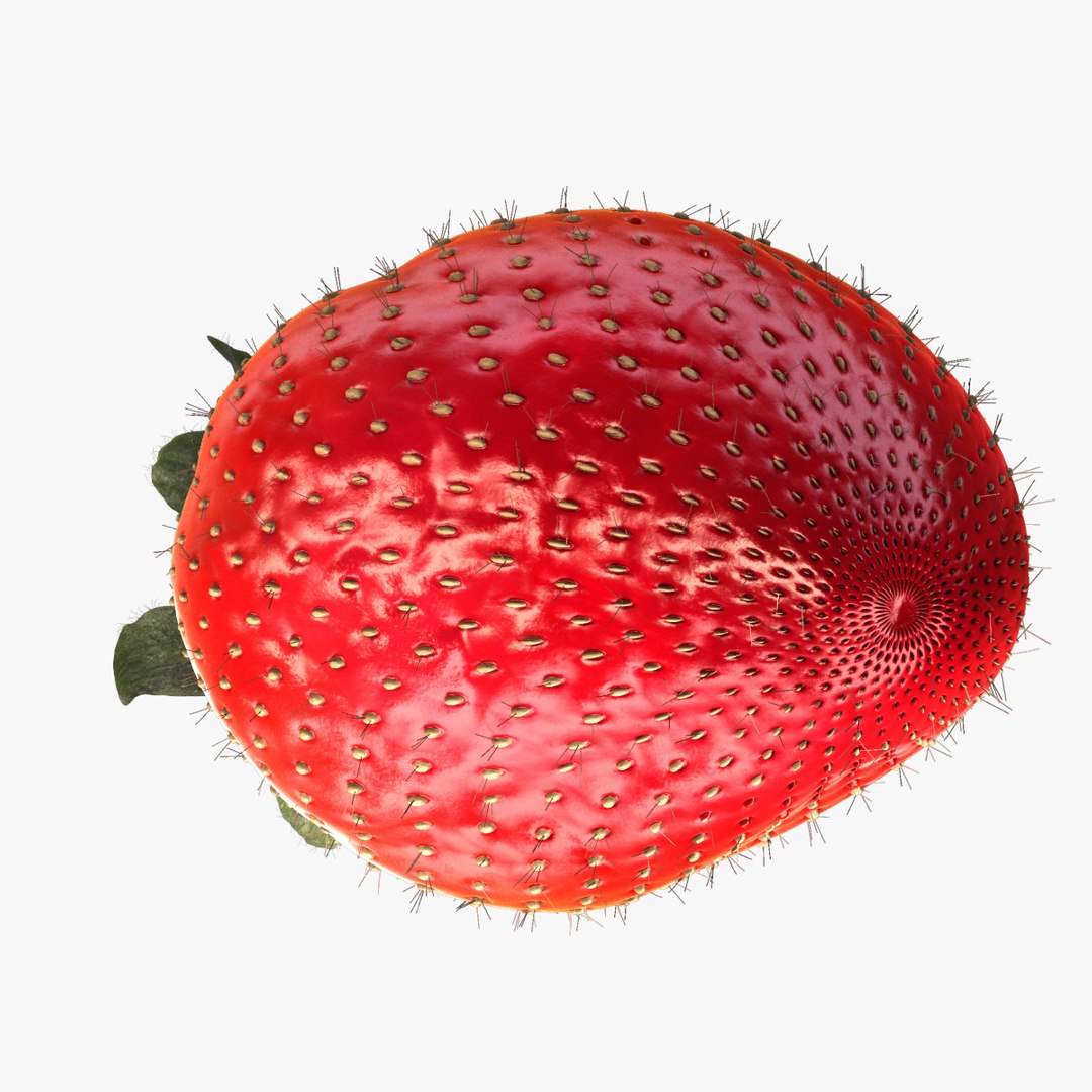3ds Max Strawberry Fruit Leaf