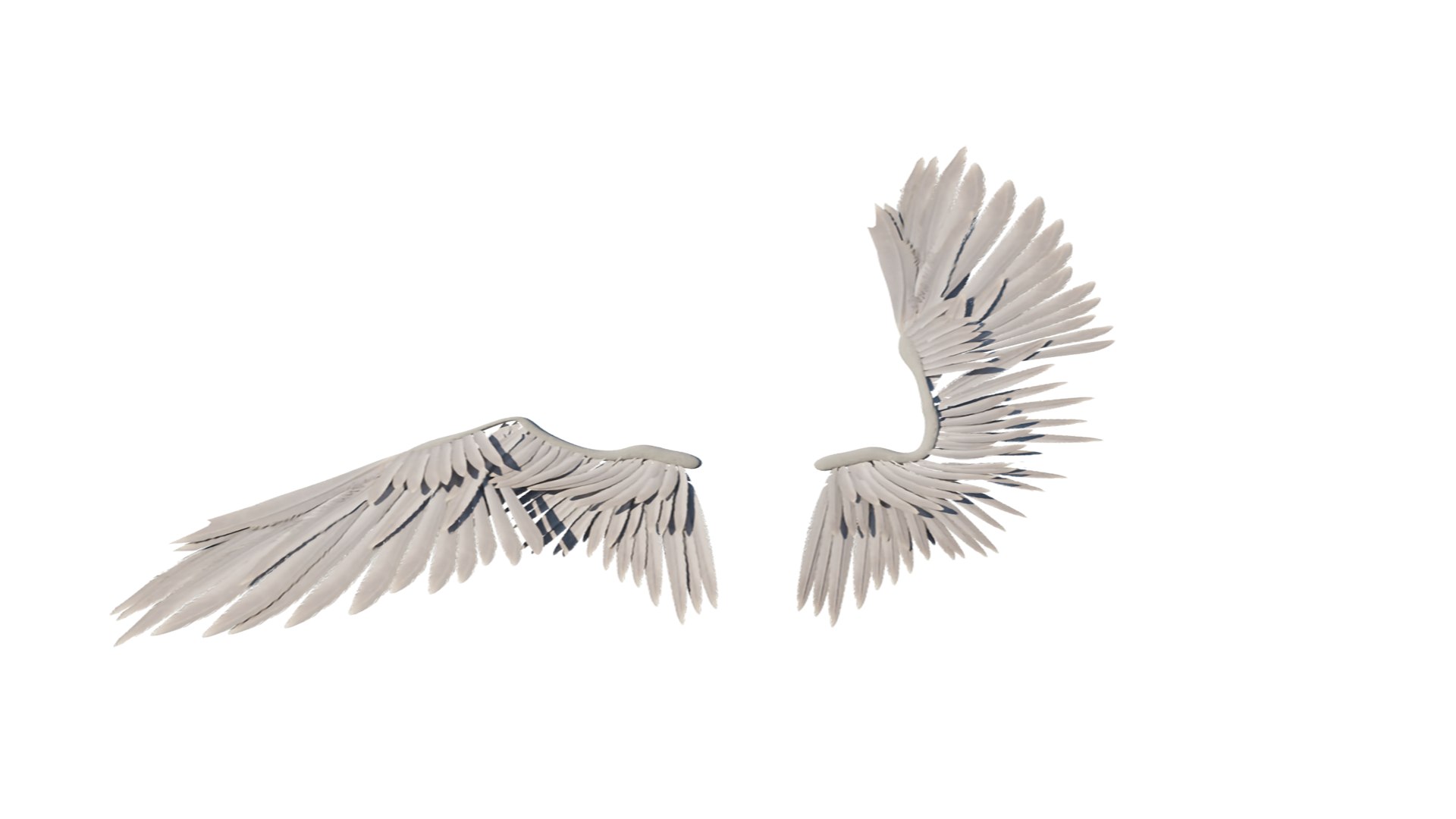 Wings Rig 3D - TurboSquid 1782689