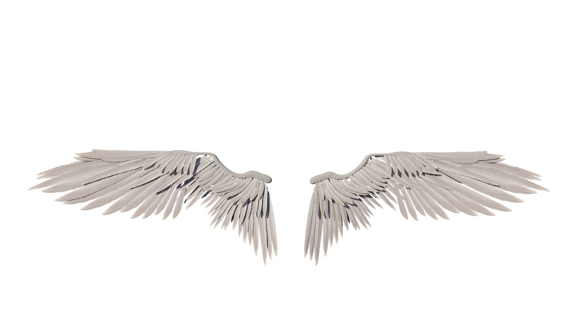 Wings Rig 3D - TurboSquid 1782689