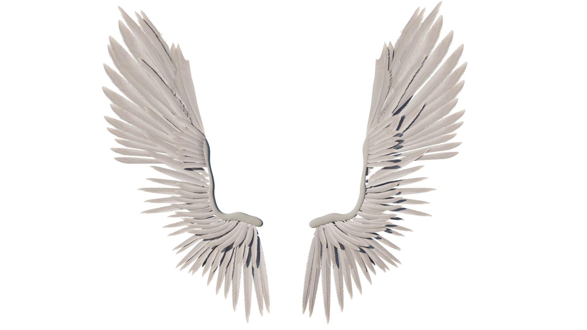 Wings Rig 3D - TurboSquid 1782689