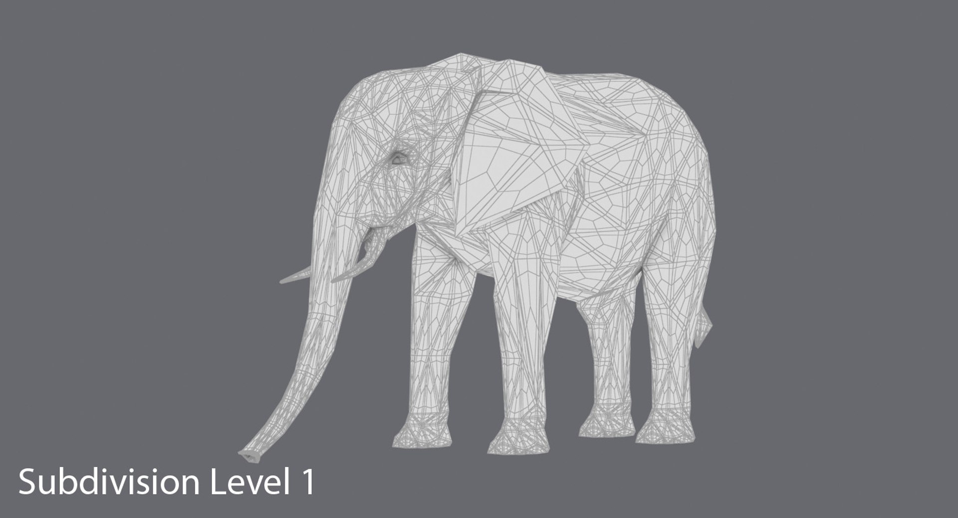 3D Elephant---walking Model - TurboSquid 1193235