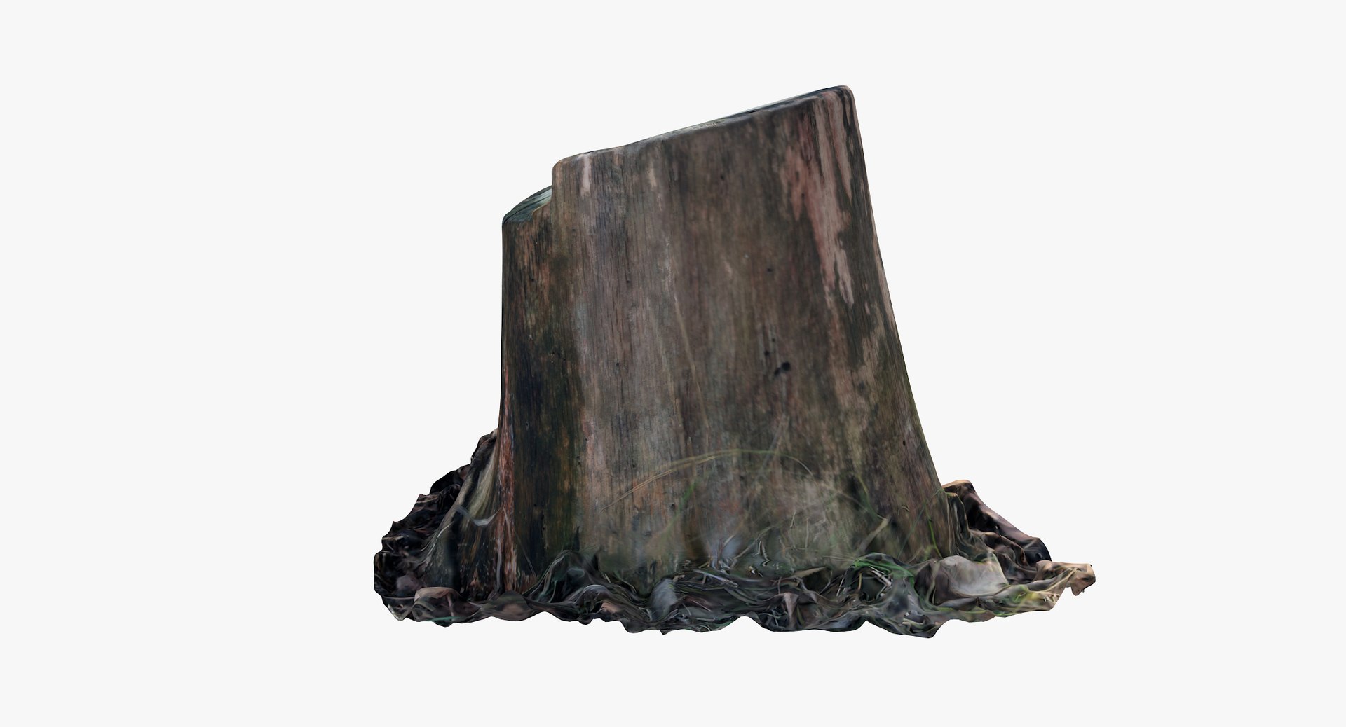 3D Oak Stump 3 Model - TurboSquid 1261934
