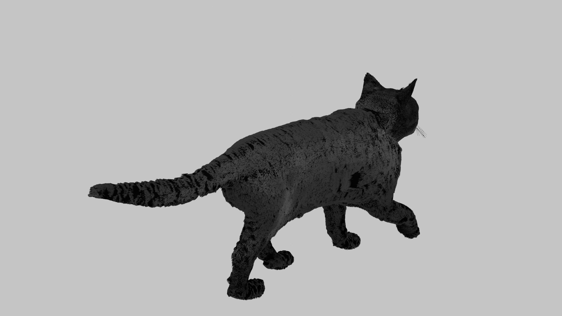 Grey Cat Animated Grace 3D Model Made In Blender High Quality 3D Model ...
