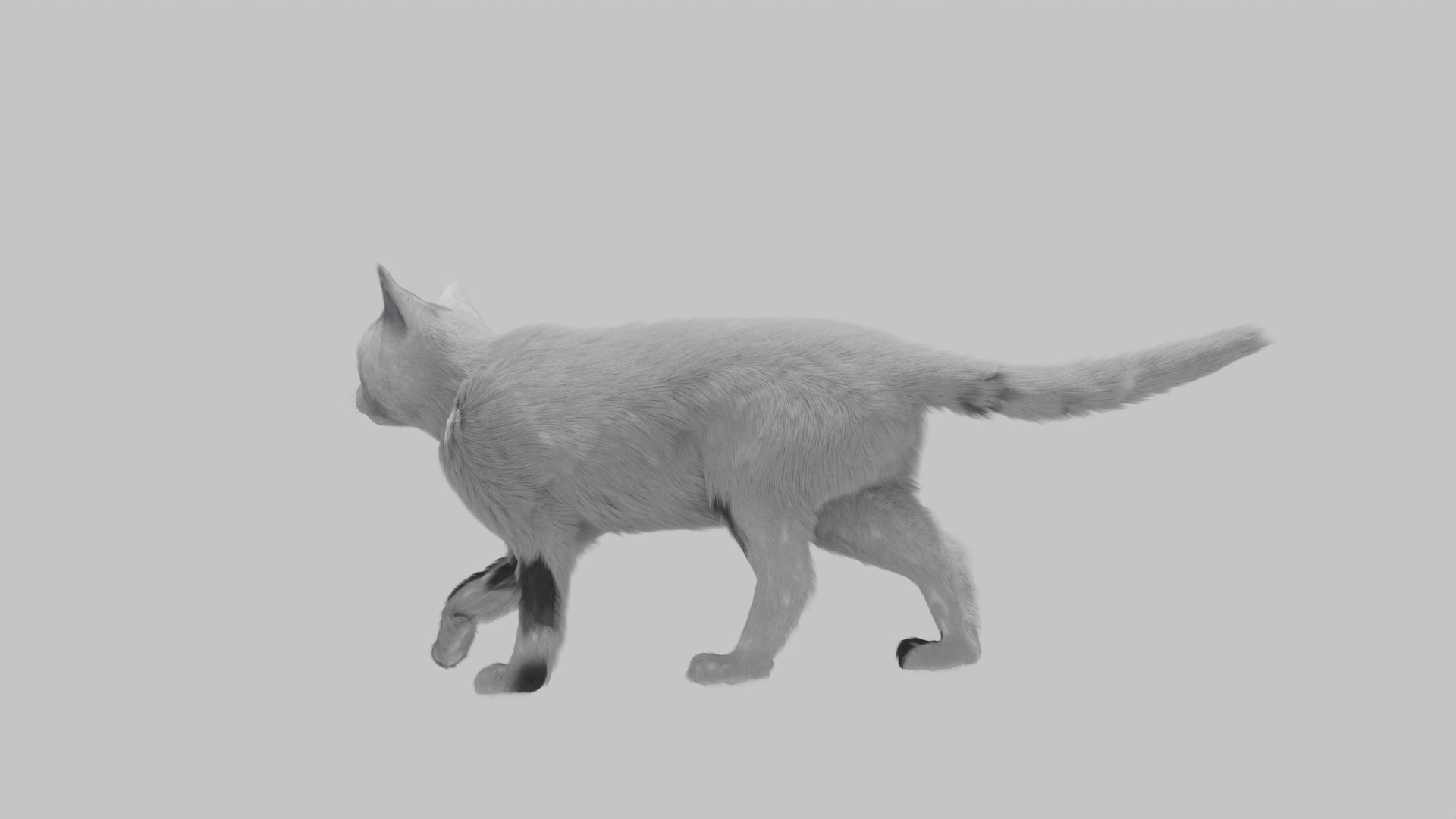 Grey Cat Animated Grace 3D Model Made In Blender High Quality 3D Model ...