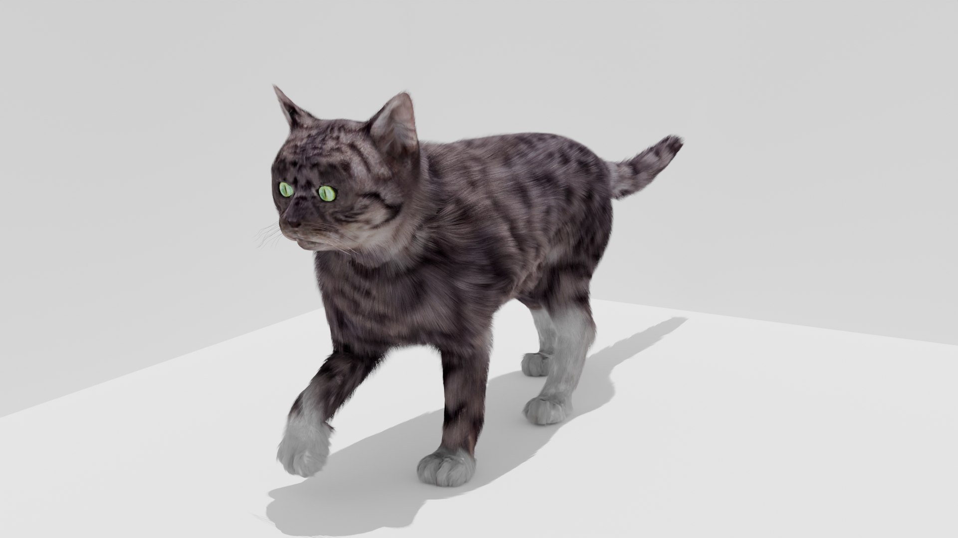 Grey Cat Animated Grace 3D Model Made In Blender High Quality 3D Model ...