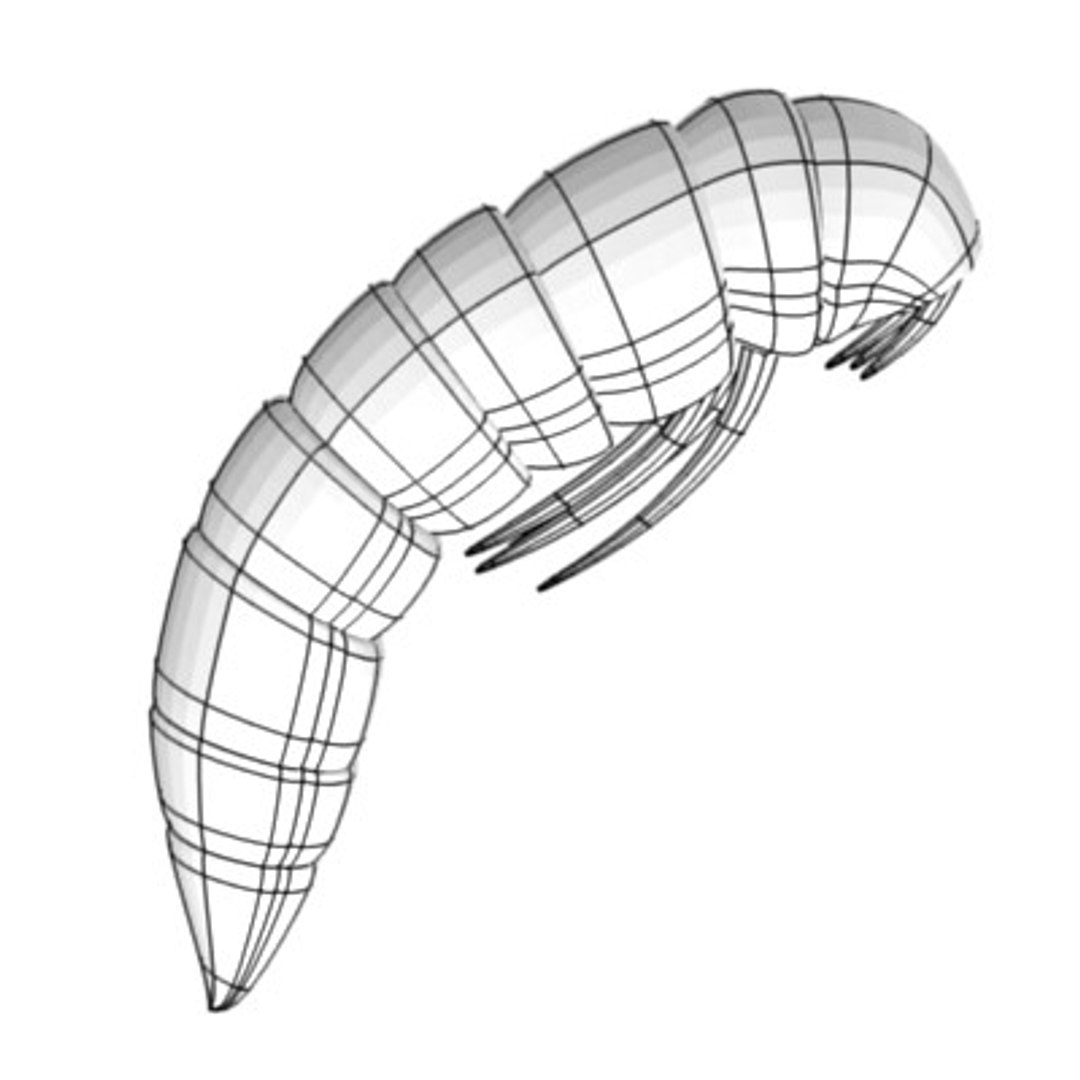 worm 3d model
