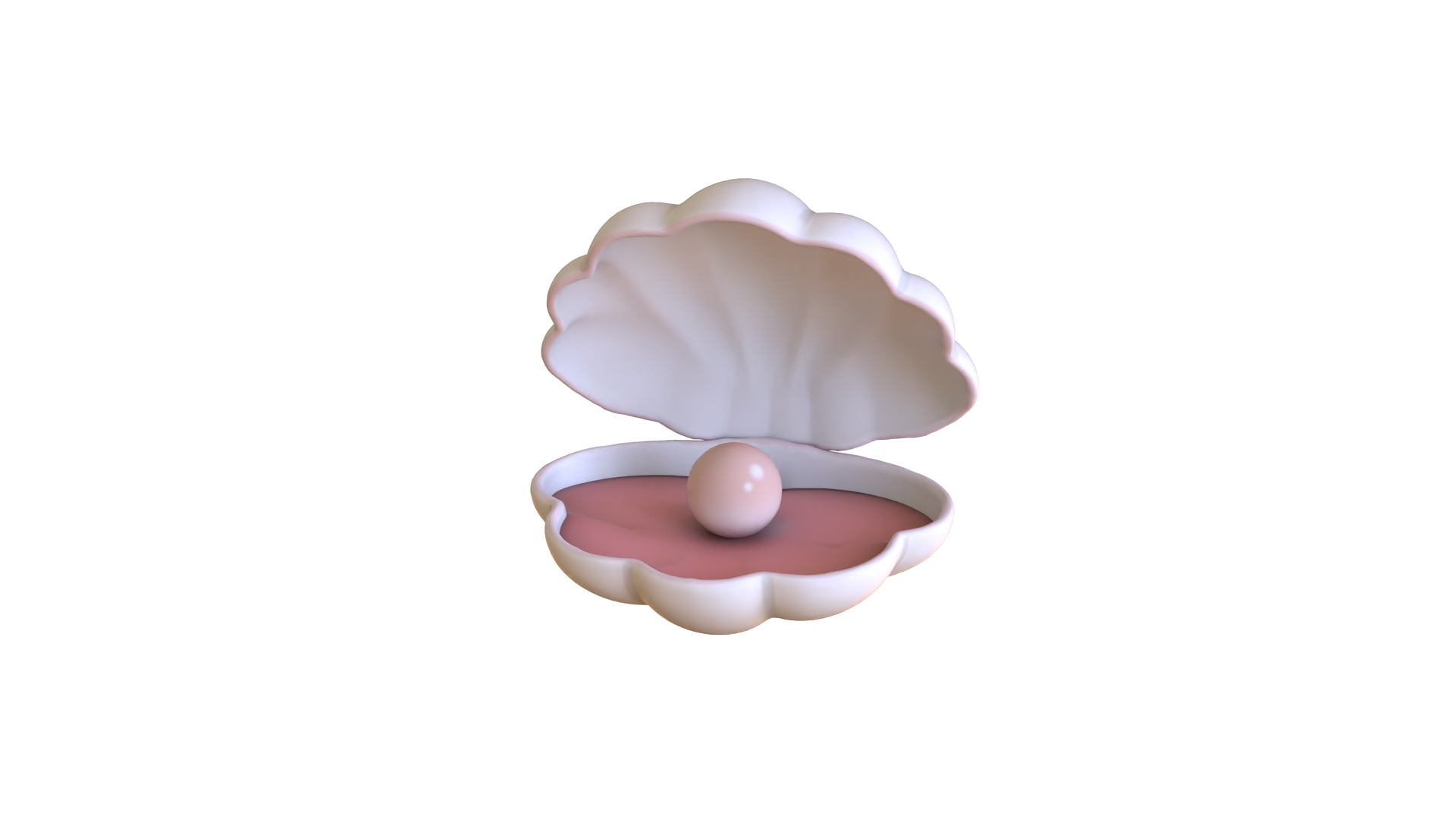 3D Open Clam Sea Shell 05 - TurboSquid 2331067
