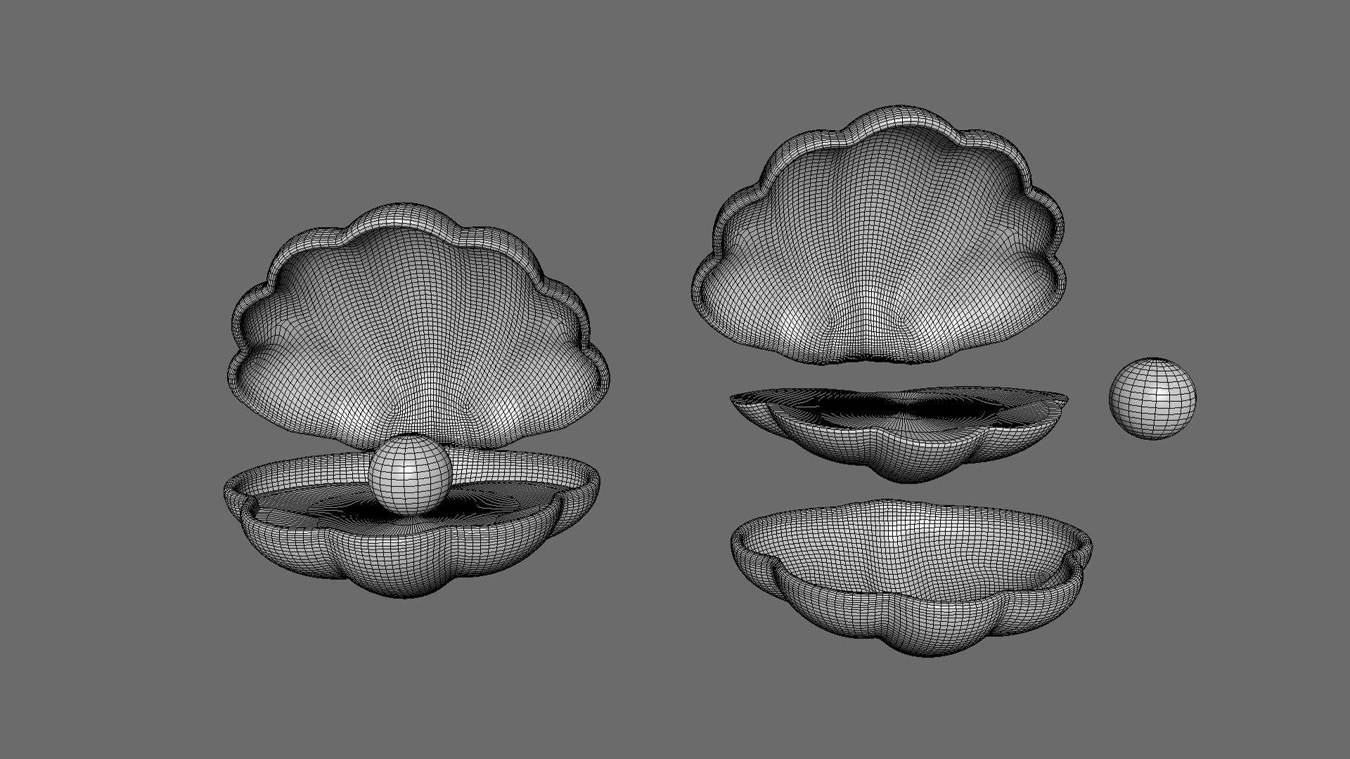 3D Open Clam Sea Shell 05 - TurboSquid 2331067