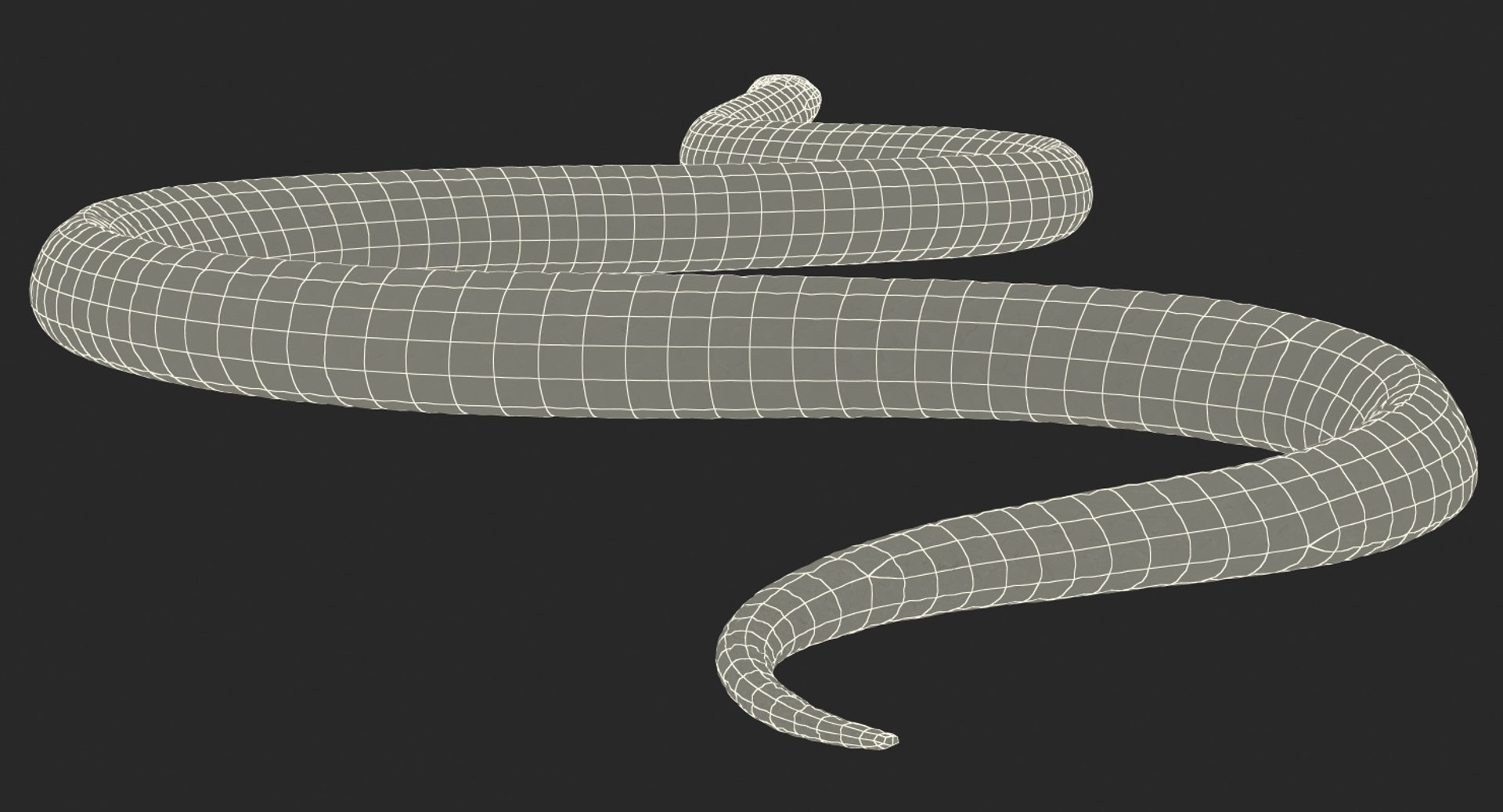 3D model california kingsnake crawling pose - TurboSquid 1393904