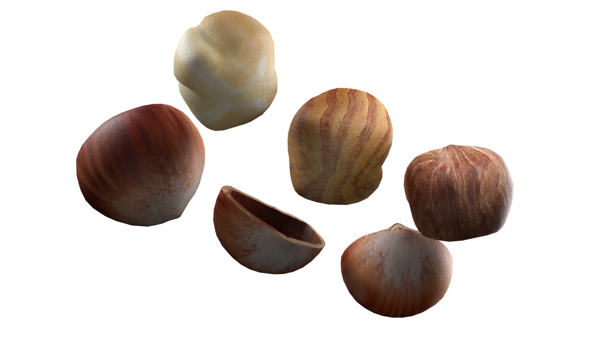 Hazelnut Collection 3D - TurboSquid 2397448