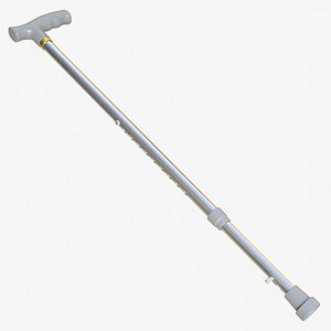 3D Cane Models | TurboSquid