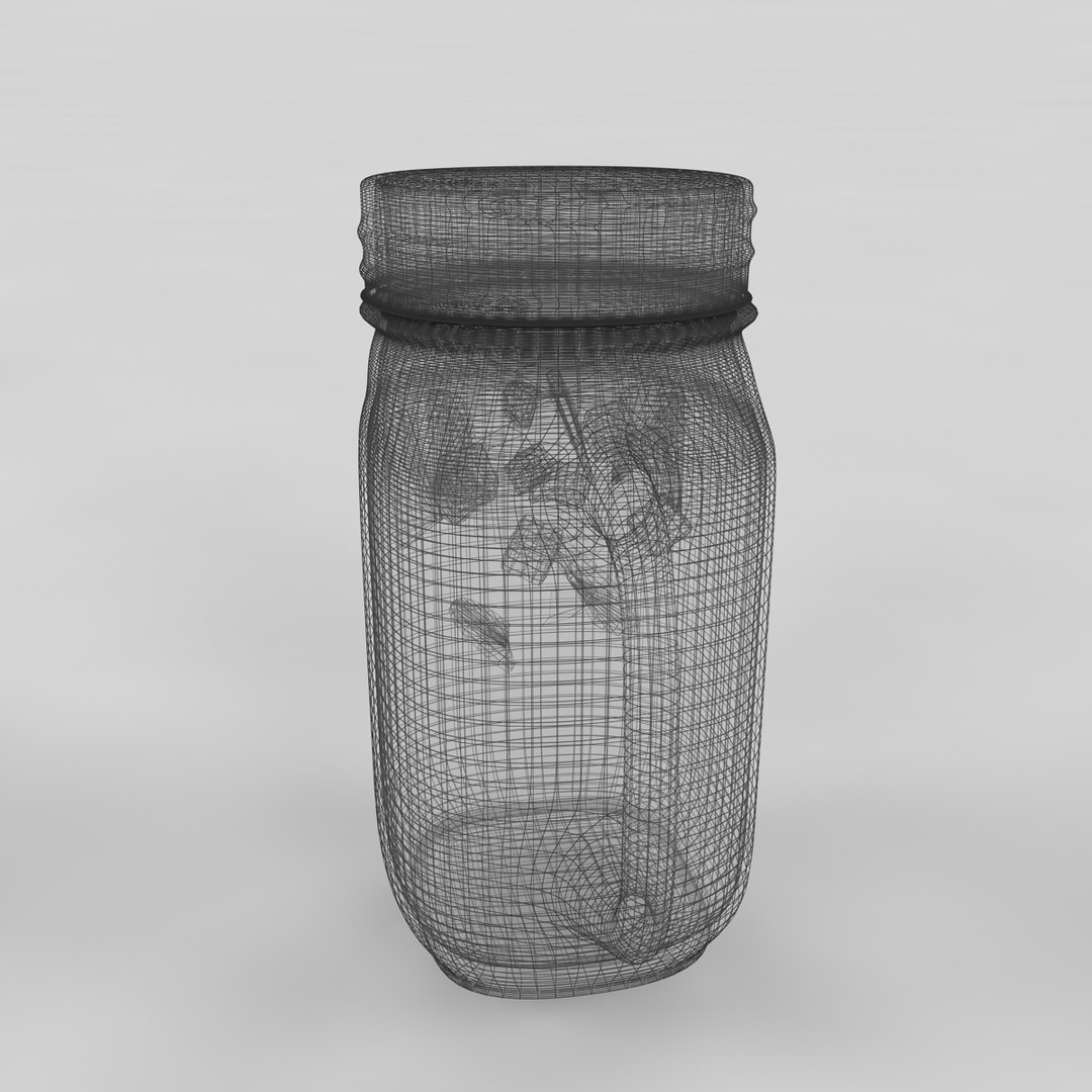 Mason Jar 3d Model