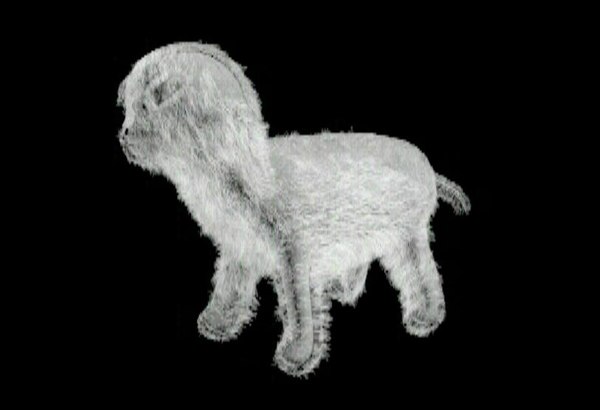 3d model white dog