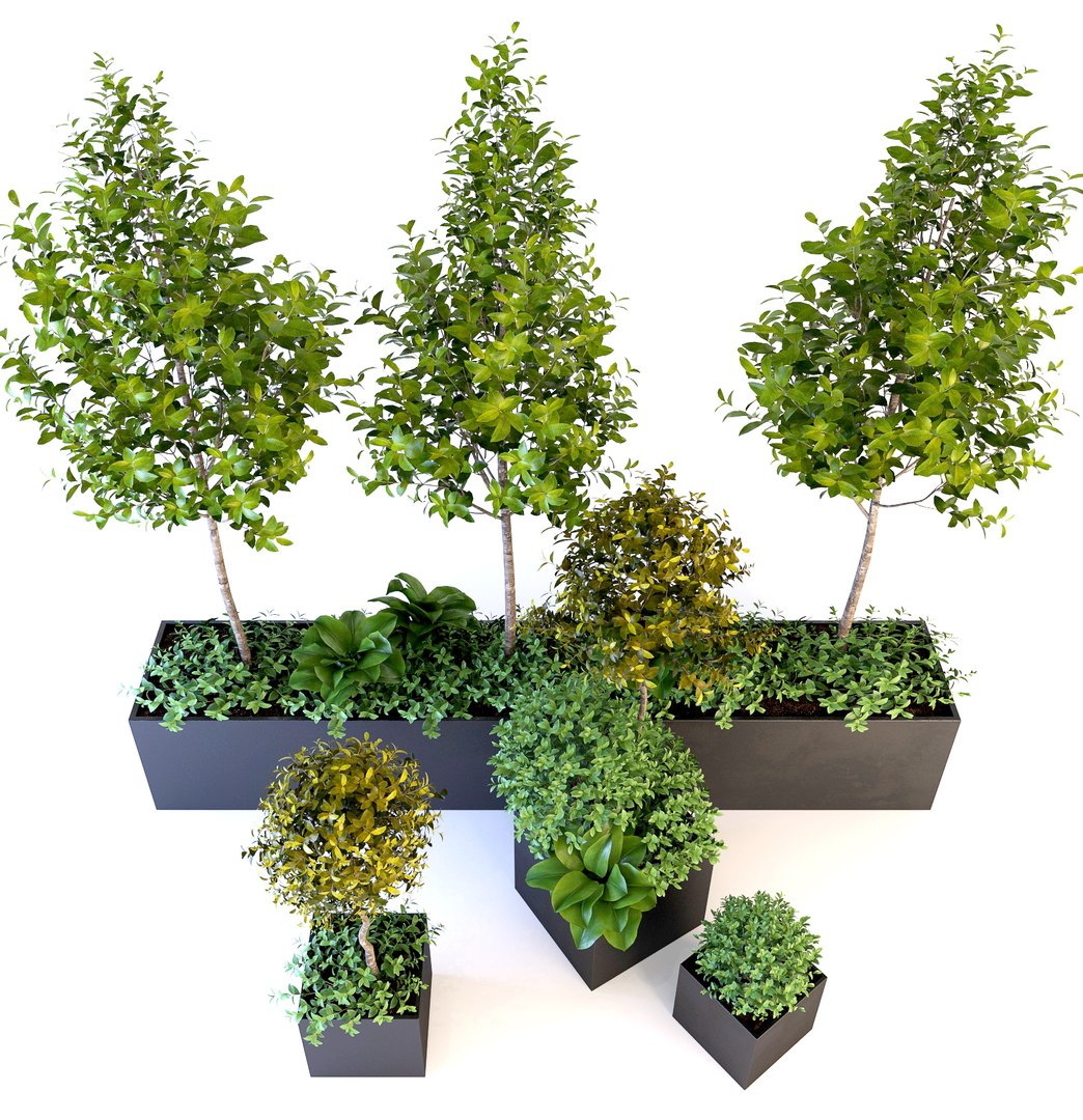 Trees Bushes 3d Model