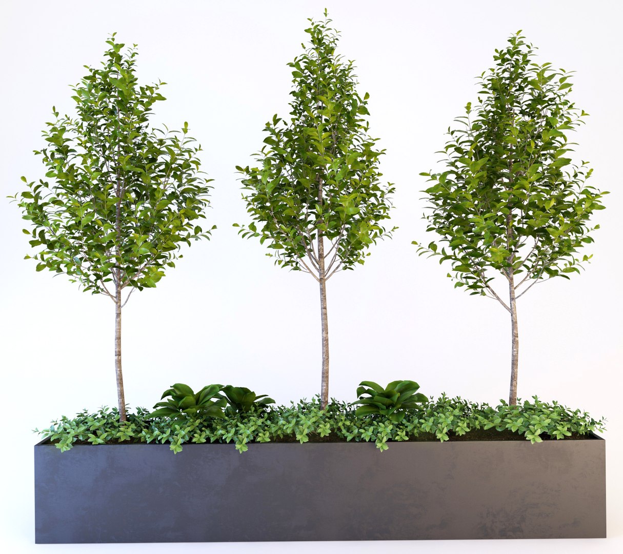 Trees Bushes 3d Model