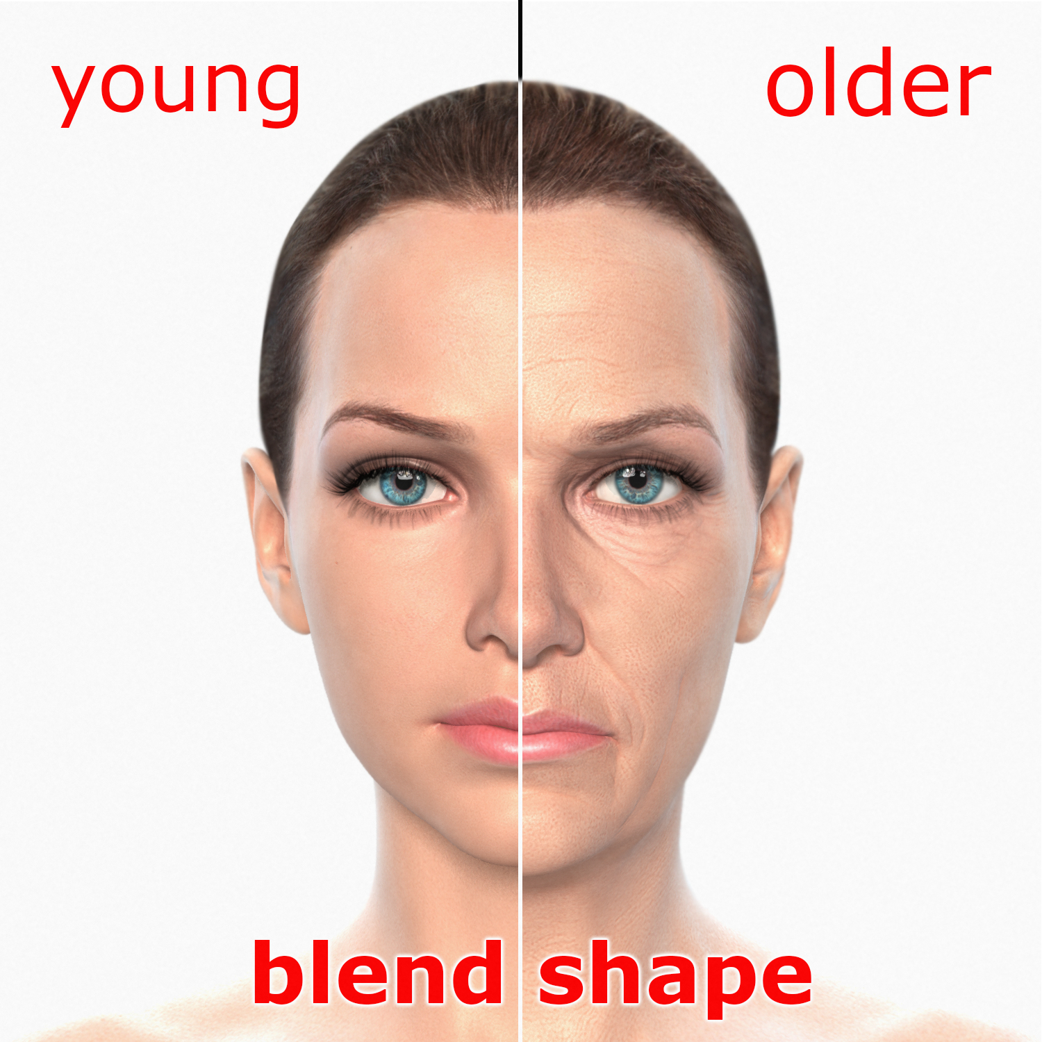 modèle 3D de Morphing Young & Older Woman Tête Femme 1.1 - TurboSquid ...