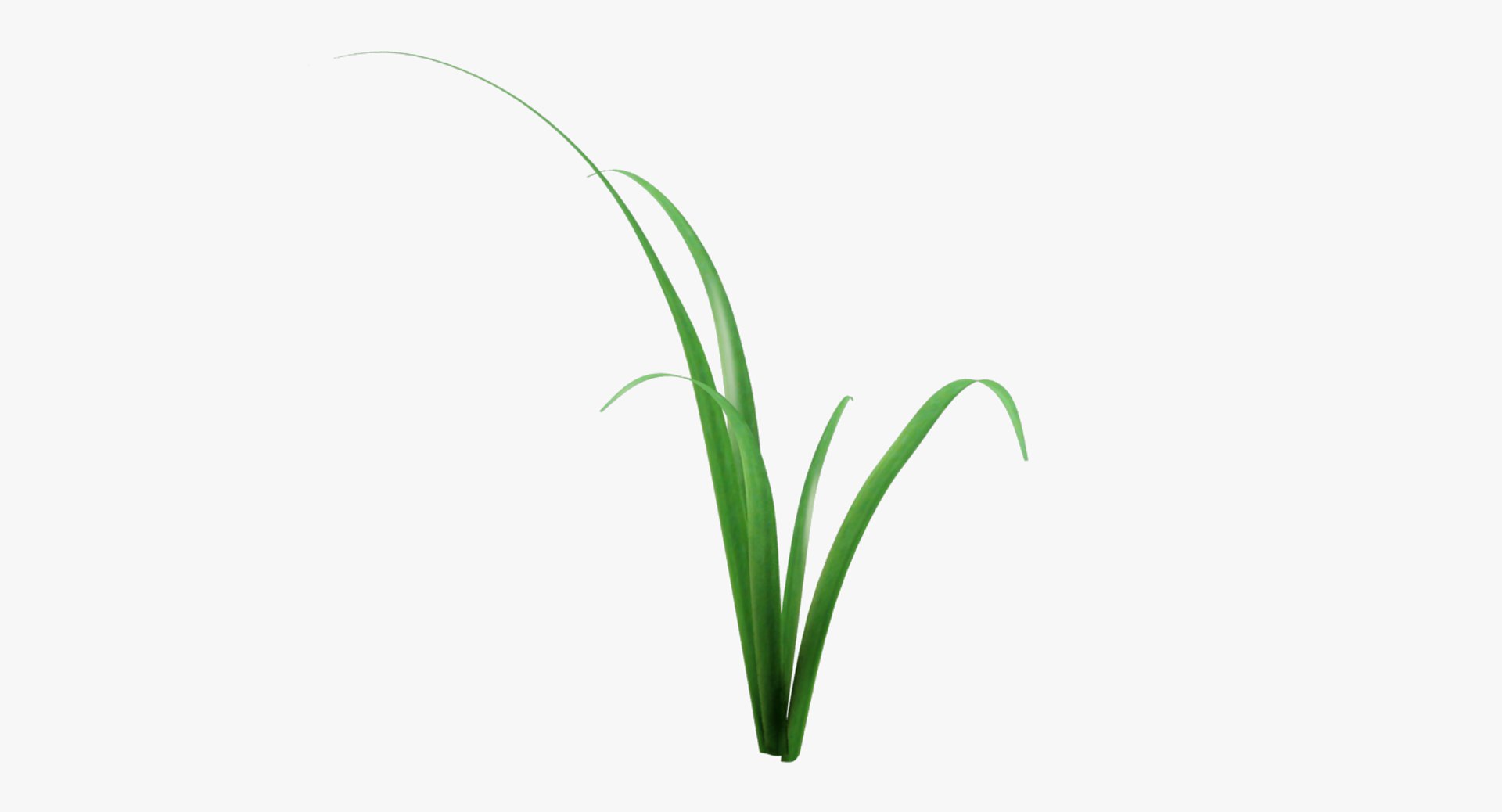 3D Simple Grass Model - TurboSquid 1191255