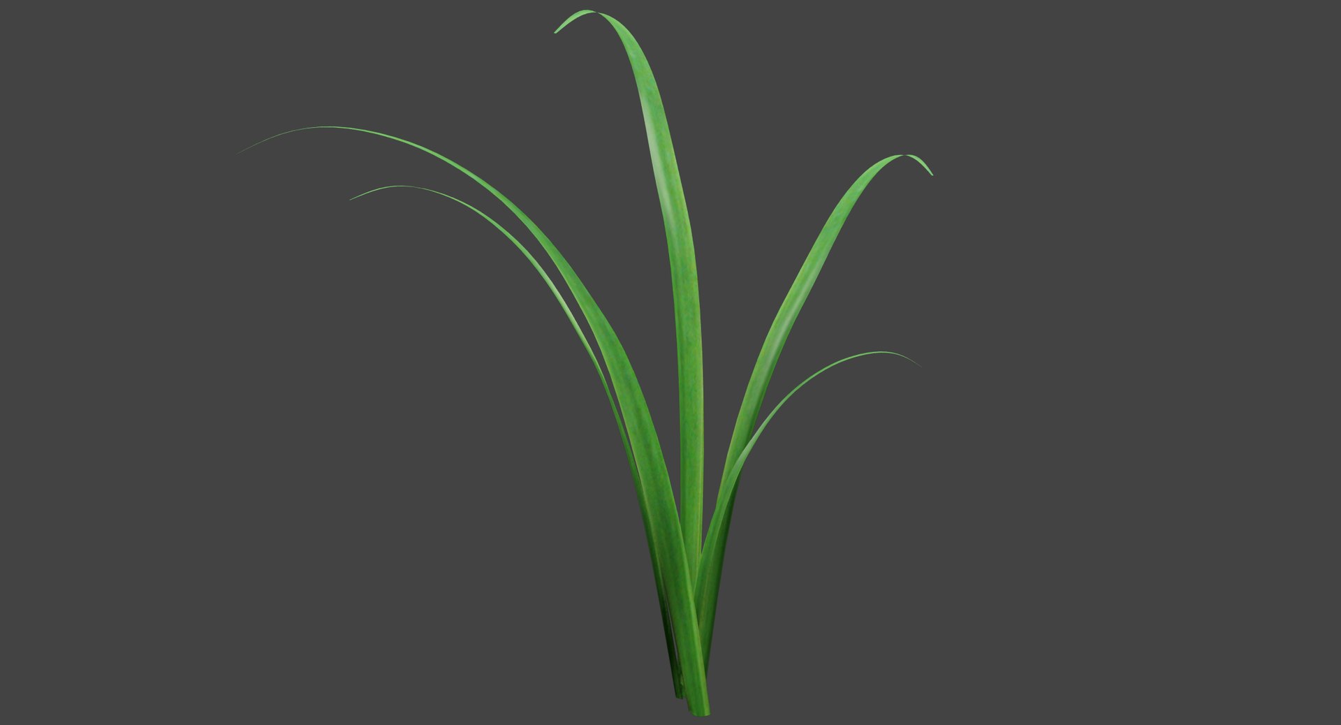 3D Simple Grass Model - TurboSquid 1191255