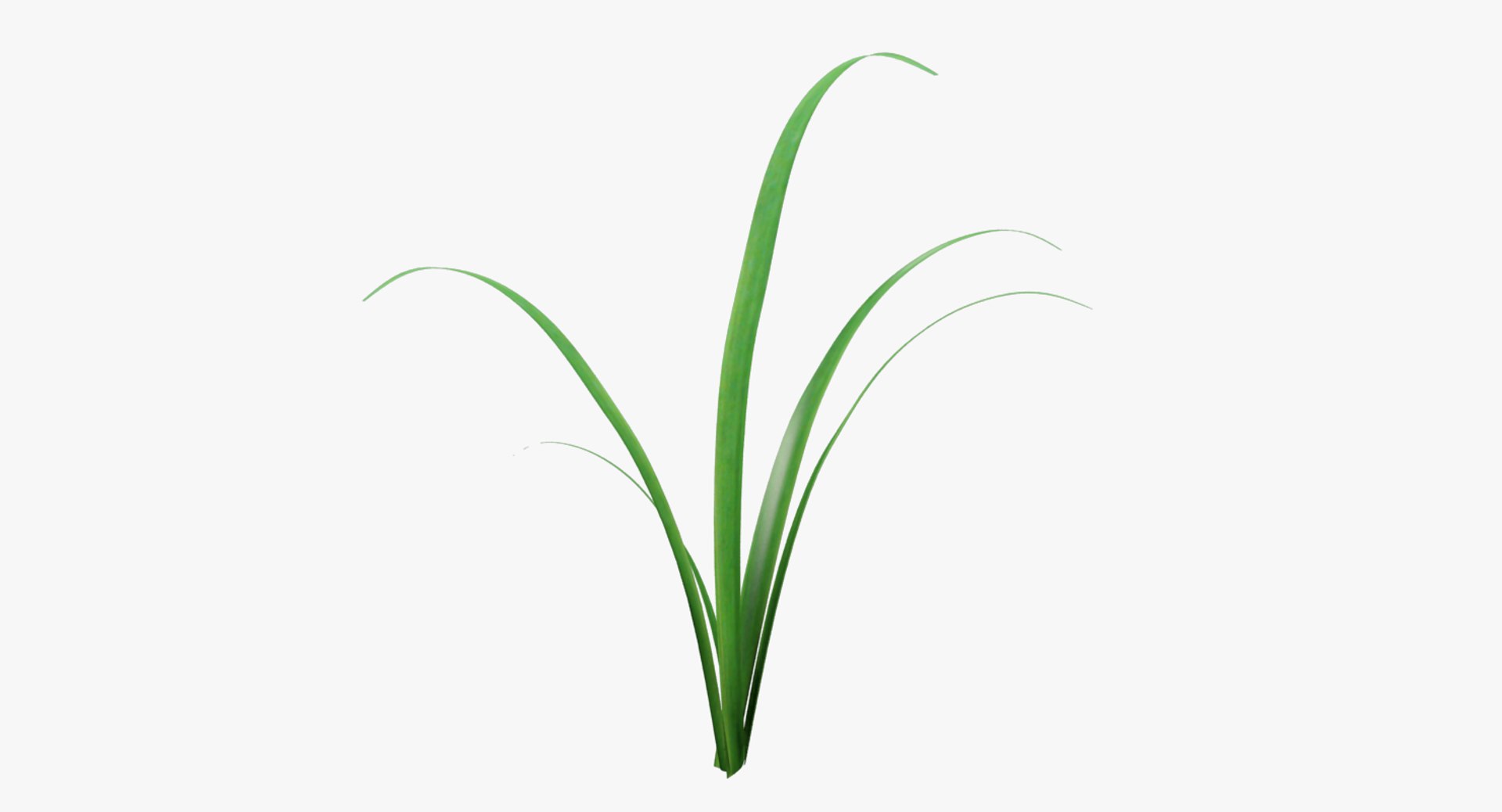 3D Simple Grass Model - TurboSquid 1191255