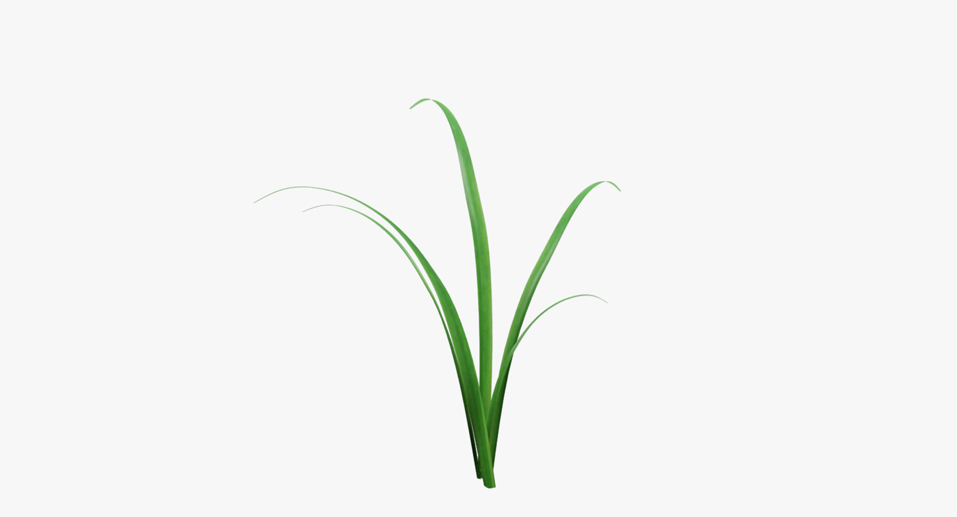 3D Simple Grass Model - TurboSquid 1191255