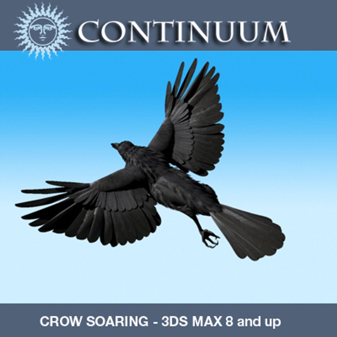 3d model crow soaring rigged v8