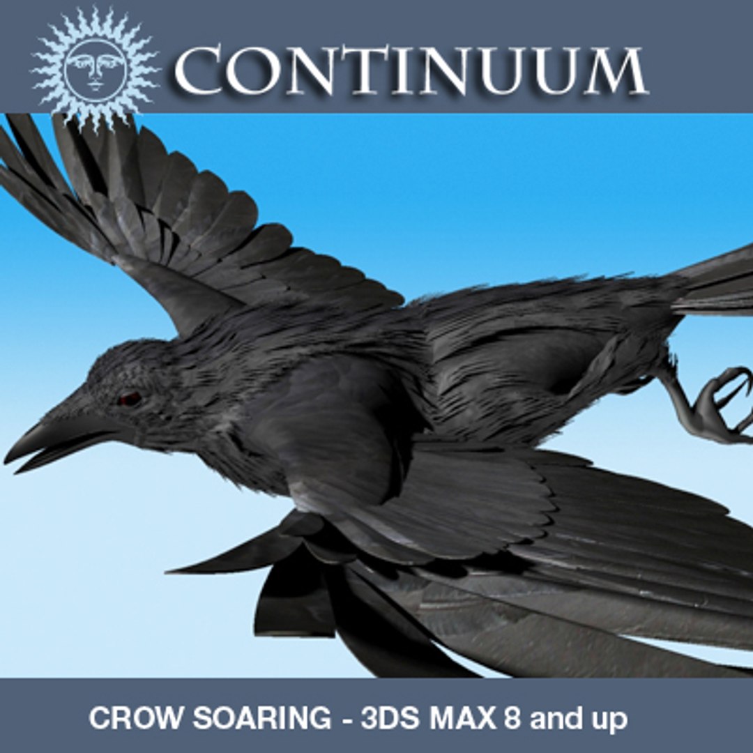 3d model crow soaring rigged v8