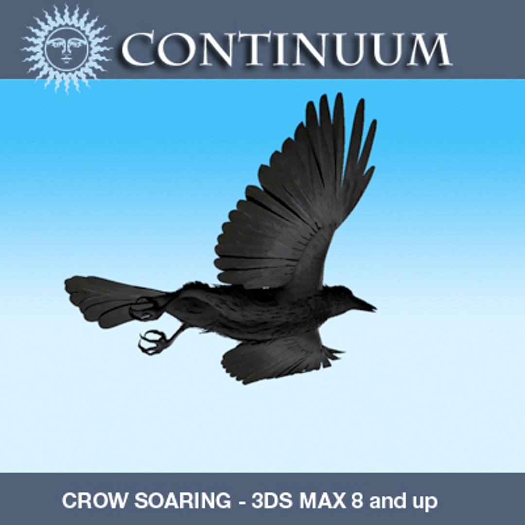 3d model crow soaring rigged v8