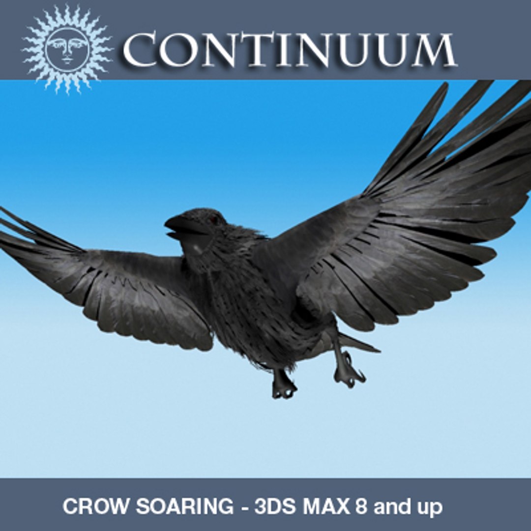 3d model crow soaring rigged v8