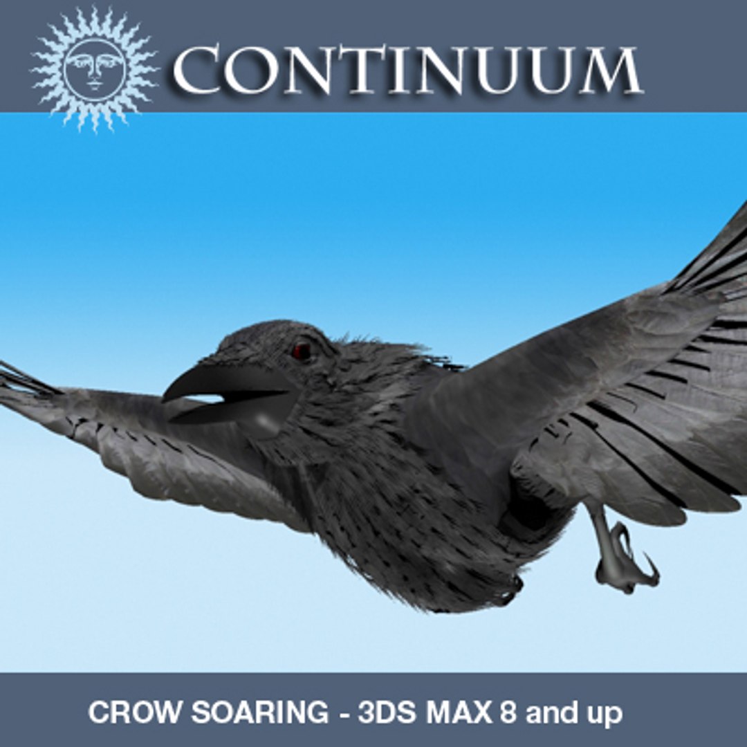 3d model crow soaring rigged v8