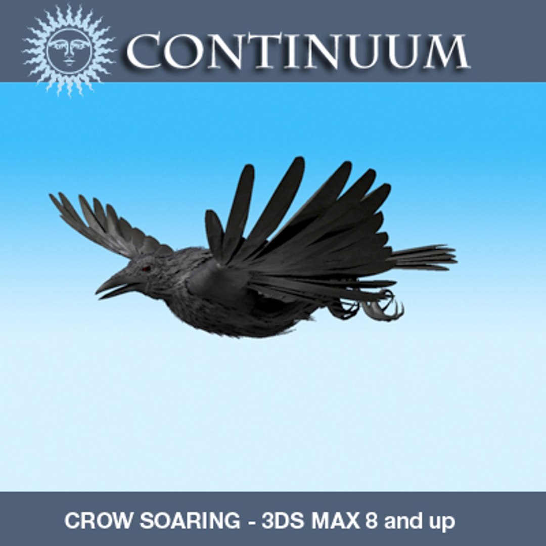 3d model crow soaring rigged v8