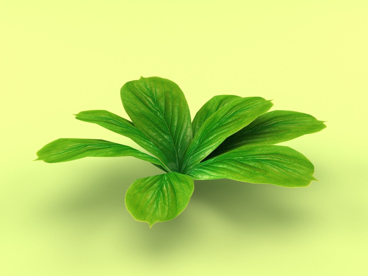 Games Bush 3D Model - TurboSquid 1438966