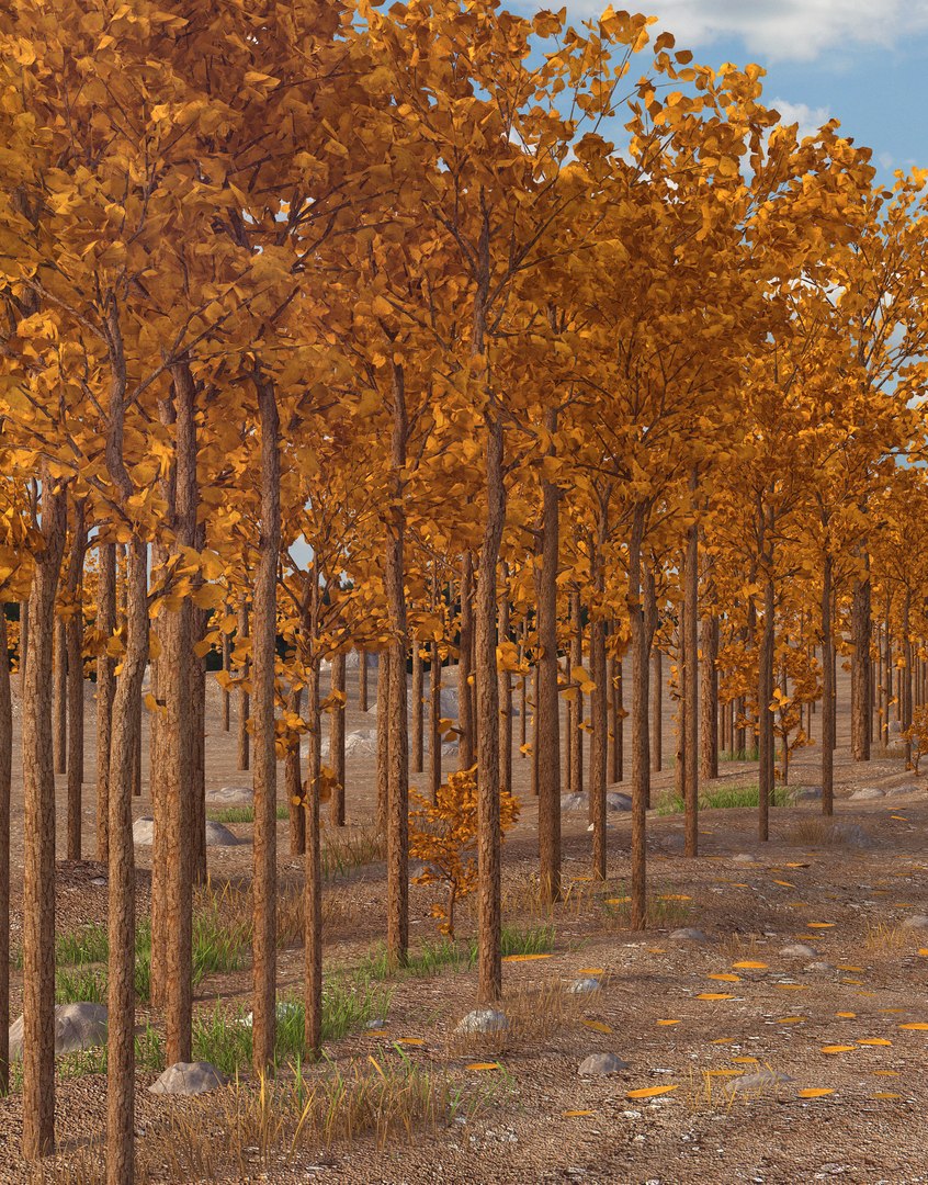 Landscape Autumn 3D Model - TurboSquid 1300151