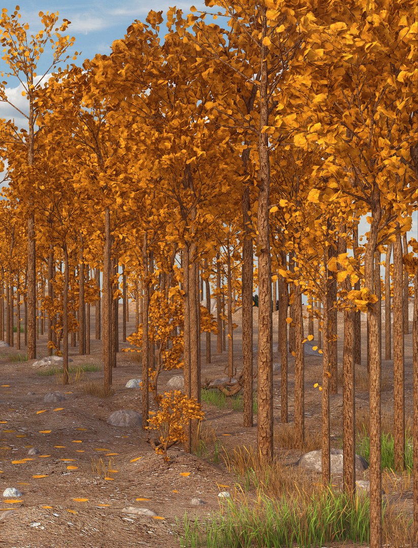 Landscape Autumn 3D Model - TurboSquid 1300151