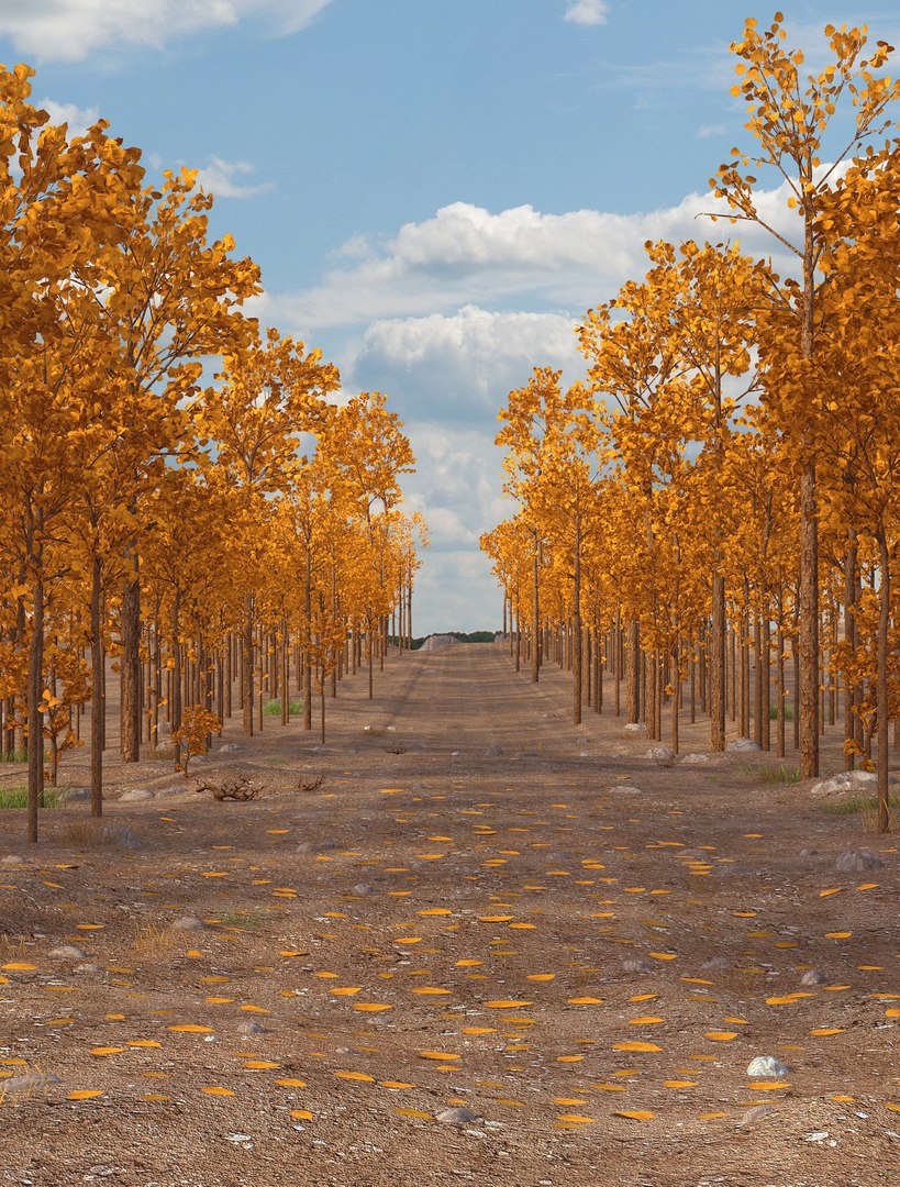 Landscape Autumn 3D Model - TurboSquid 1300151