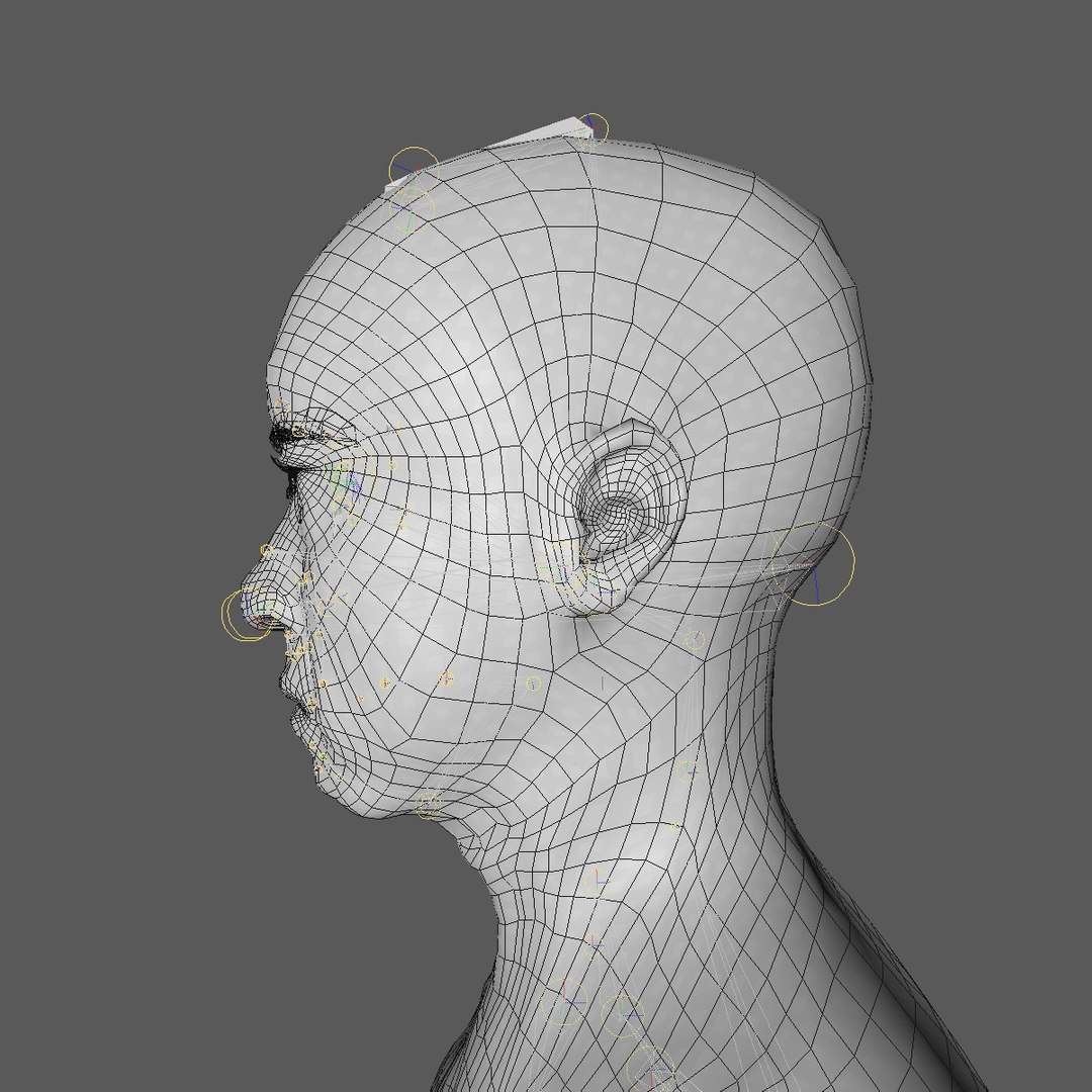 3d Realistic Base Mesh Old Model