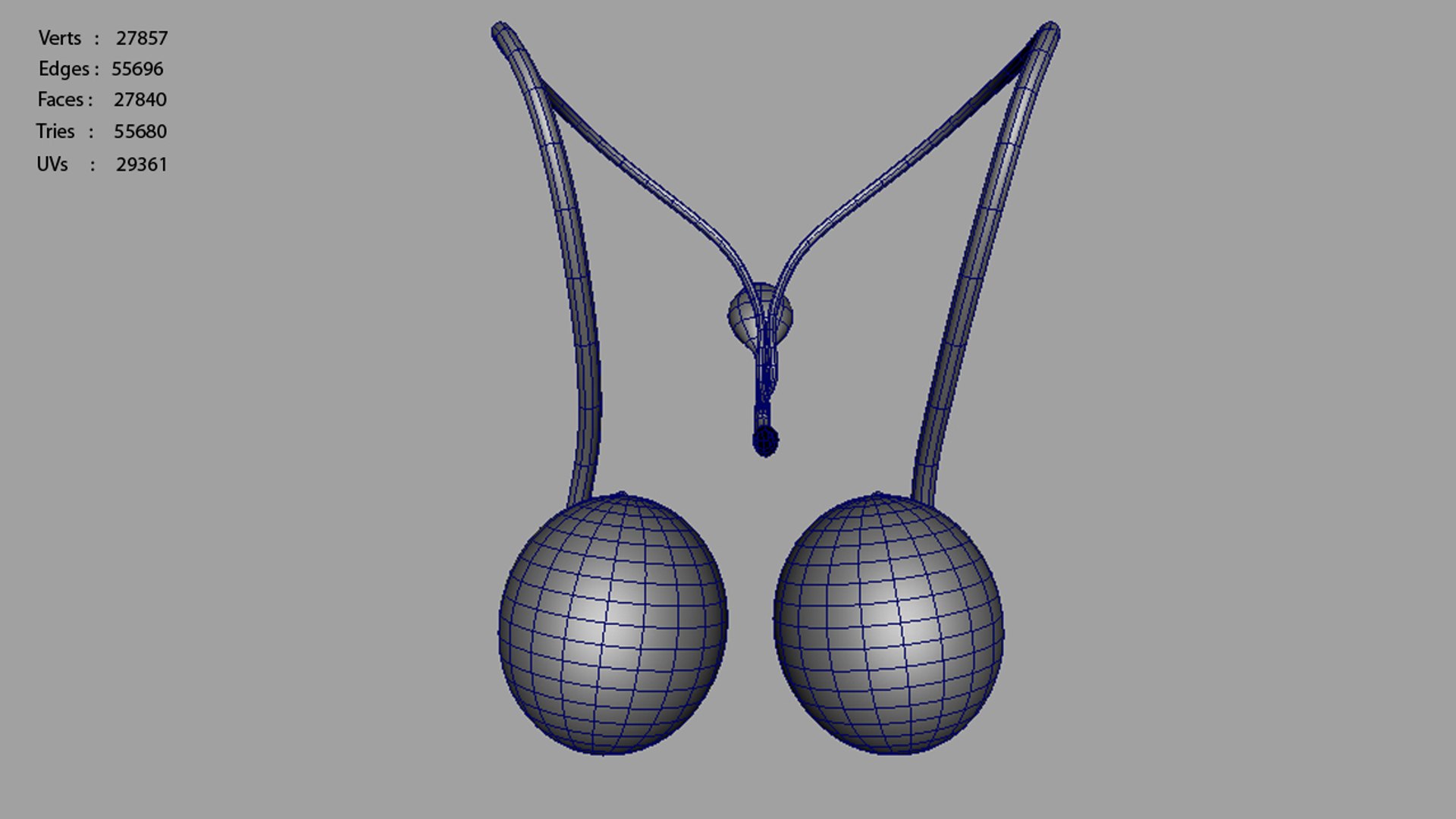 Testis Male Reproductive Obj