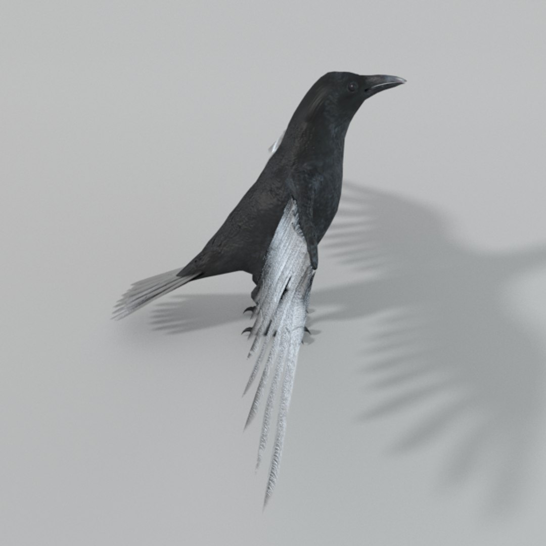 Crow 3D Model - TurboSquid 1316768