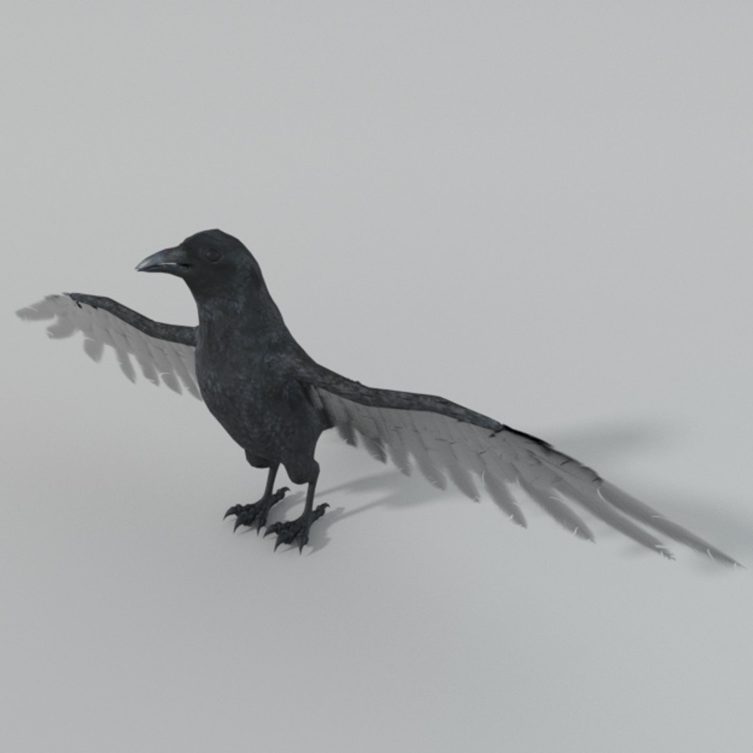 Crow 3D Model - TurboSquid 1316768