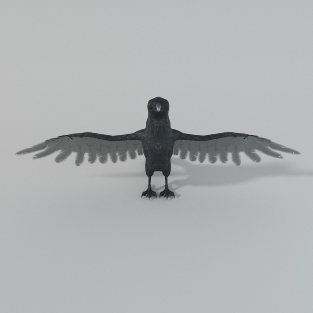 Crow 3D Model - TurboSquid 1316768