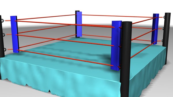 3D 3ds Max boxing