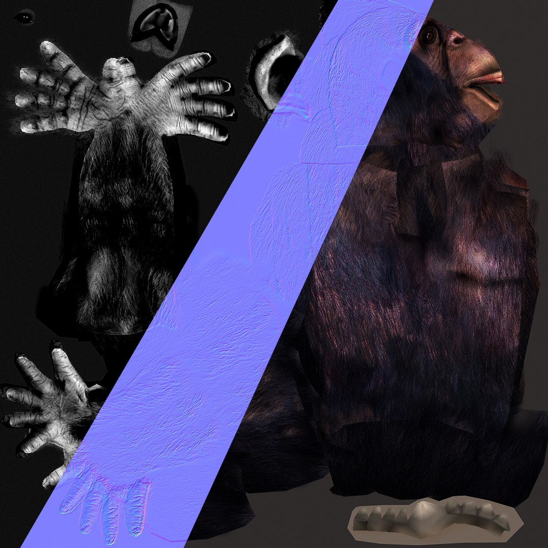 Chimpanzee 3D - TurboSquid 1176795