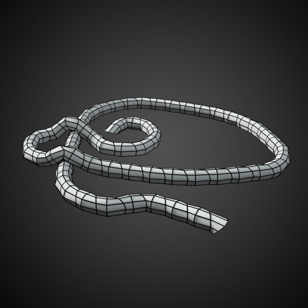 Rope Coil 3D Model | 1143102 | TurboSquid