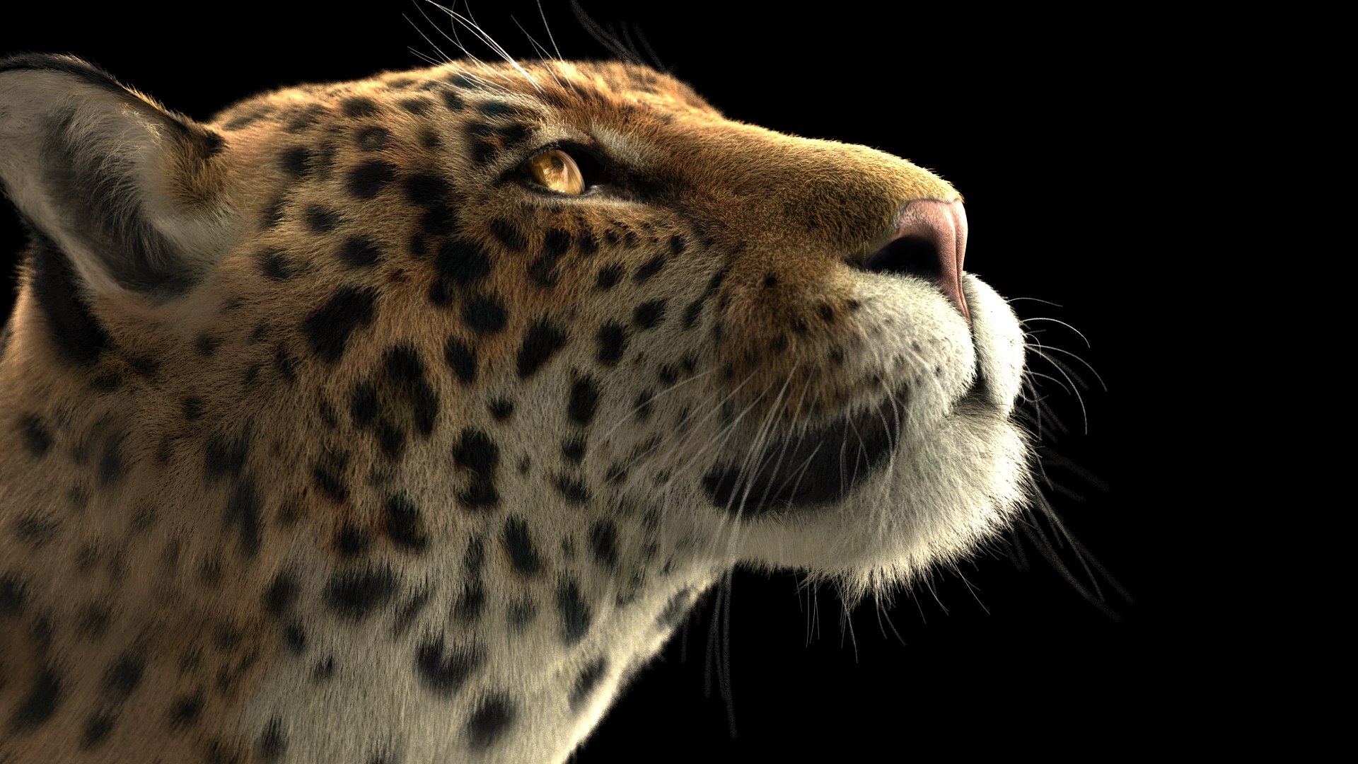 3D JAGUAR RIG XGEN-CORE - TurboSquid 1722591