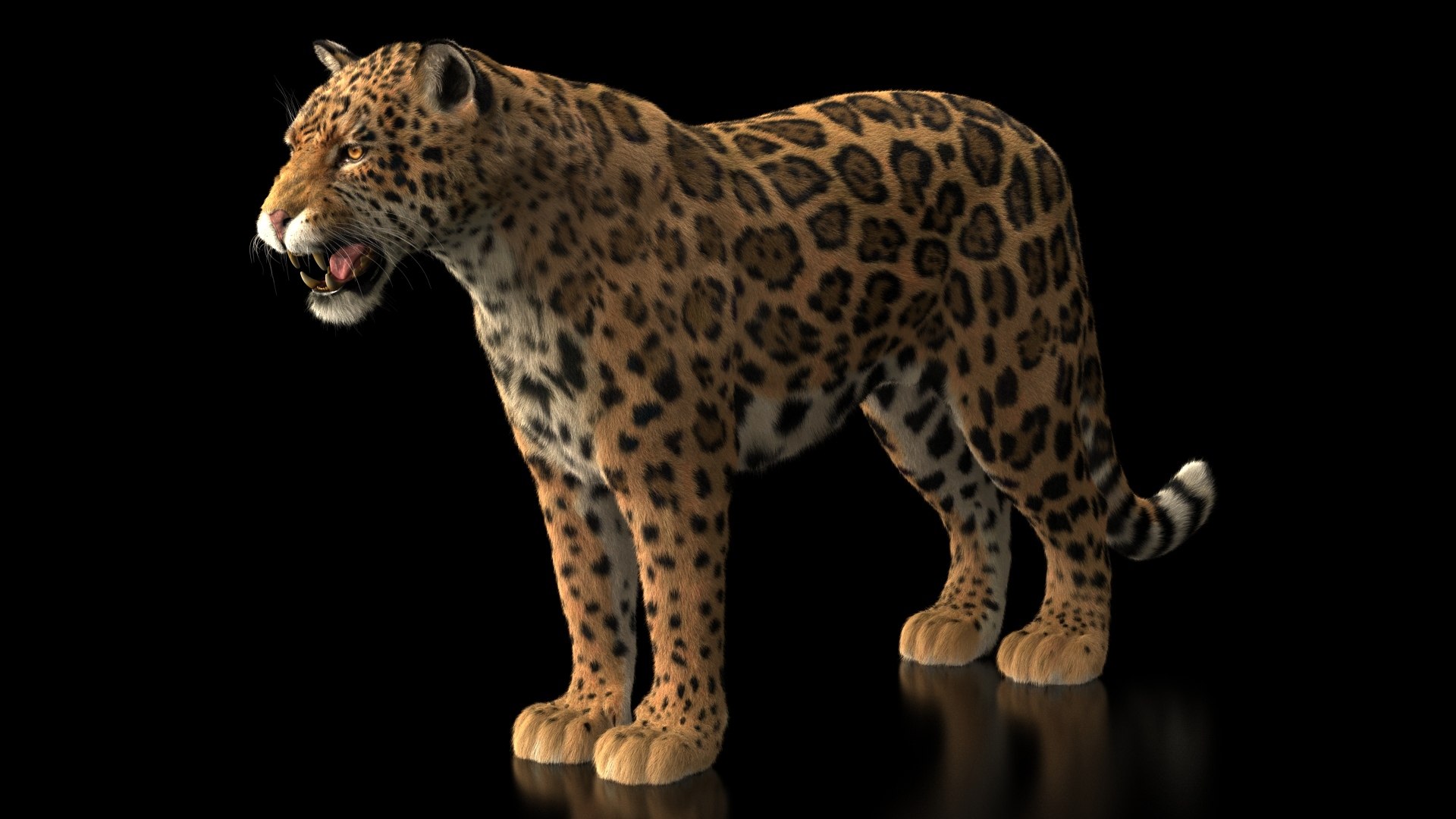 3D JAGUAR RIG XGEN-CORE - TurboSquid 1722591