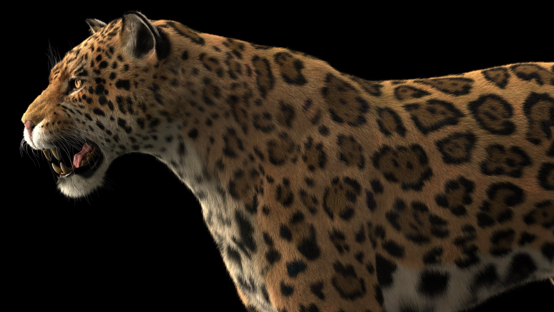 3D JAGUAR RIG XGEN-CORE - TurboSquid 1722591