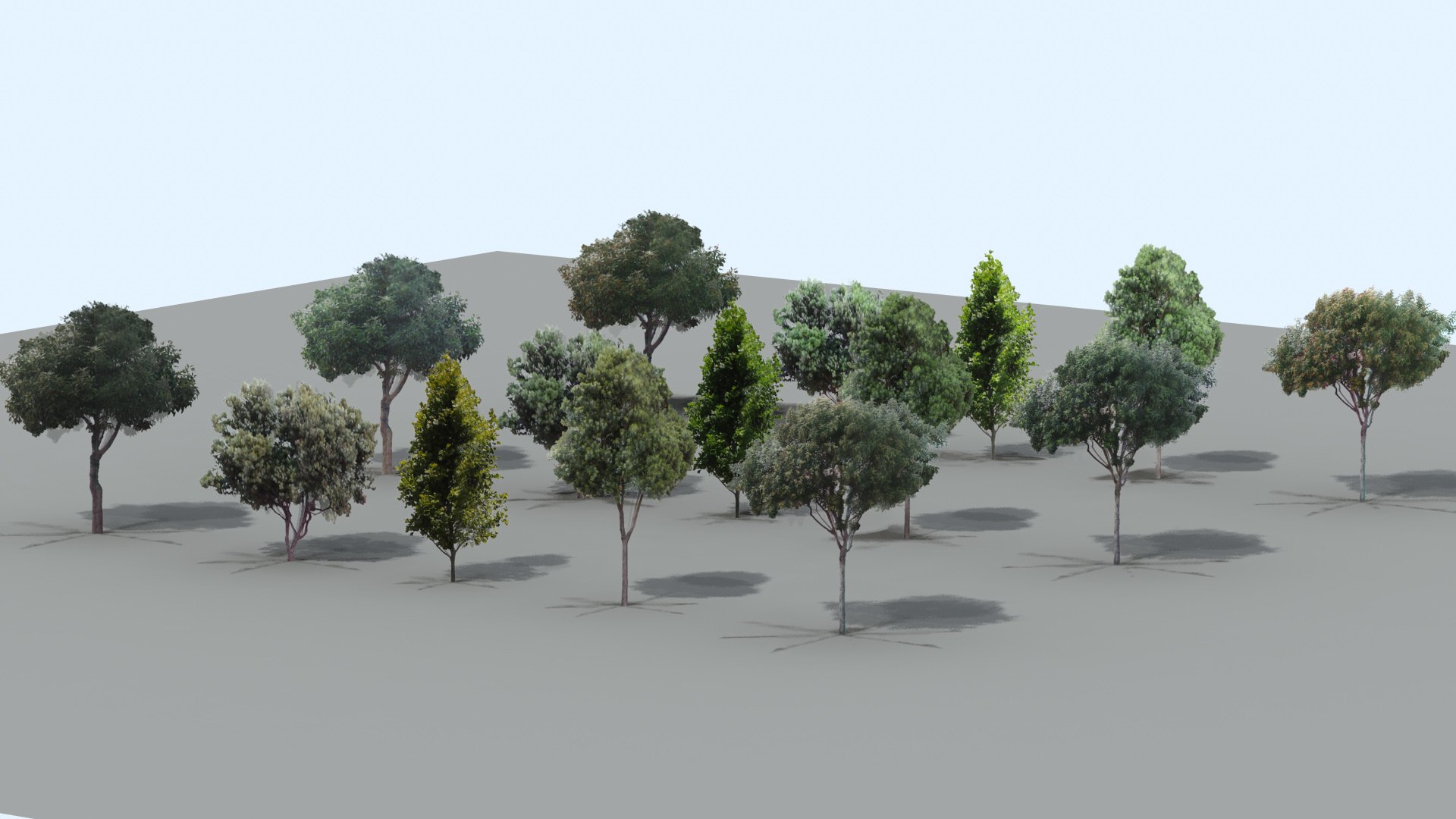 Tree 3d Model